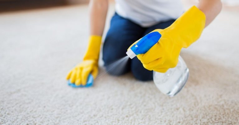 How To Get Sick Out Of A Carpet Clean And Tidy Living
